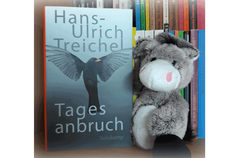 Hans-Ulrich Treichel: Tagesanbruch - Peter liest ...
